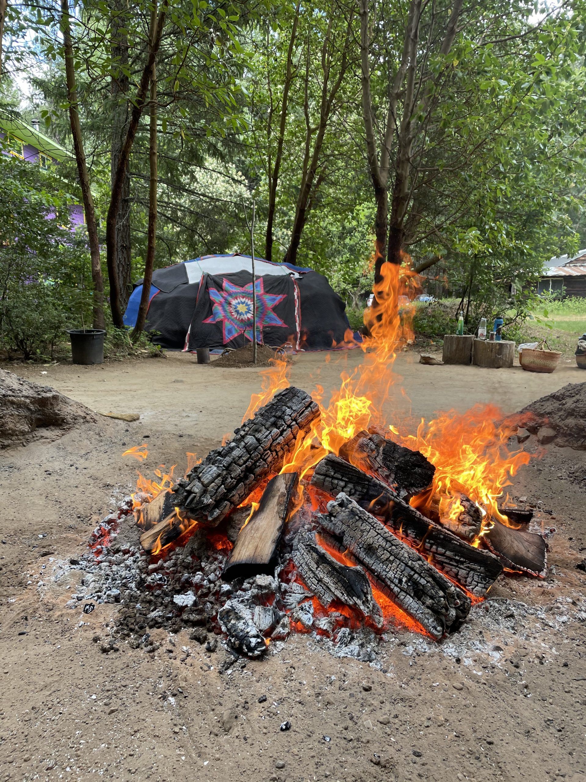 Sweat Lodge - Wild Heart Medicinals